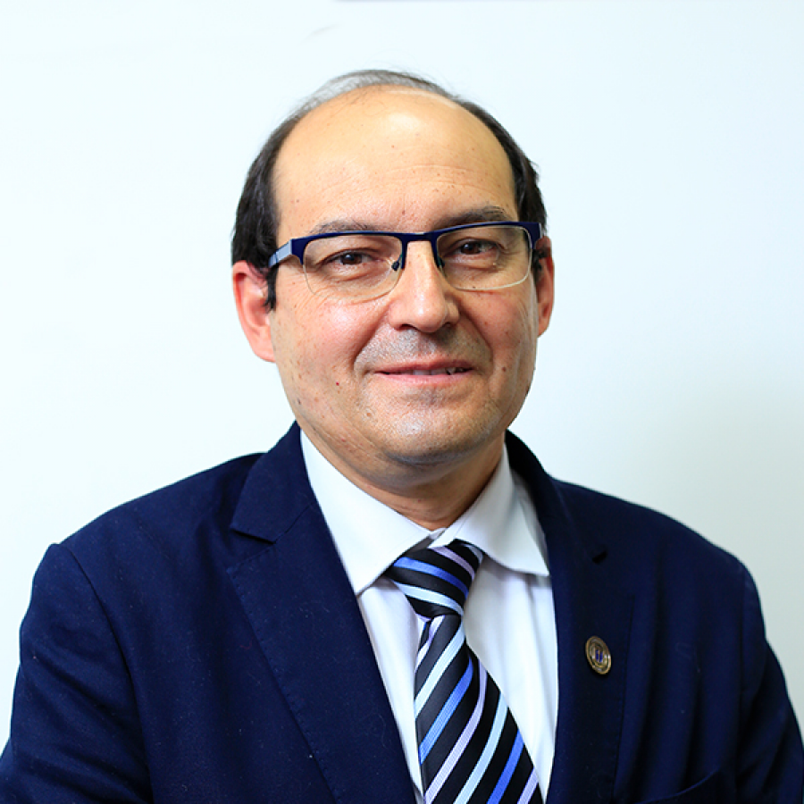 Académicos/as Colaboradores/as - Postgrado